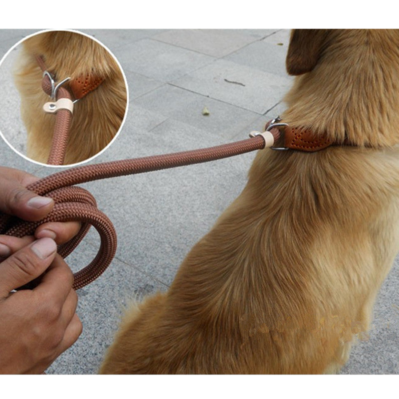 Hondenriem Slip Rope Lead Leash Heavy Duty Gevlochten Touw Verstelbare ...