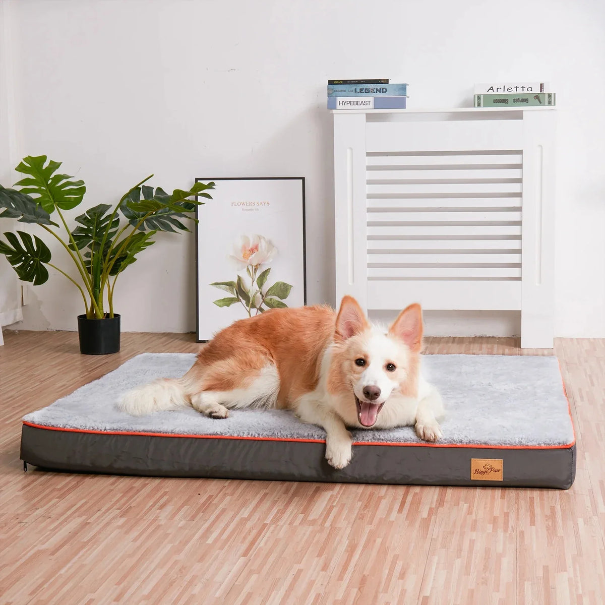 Groot Orthopedisch Hondenbed Kennel Memory Foam Waterdicht Bed voor ...